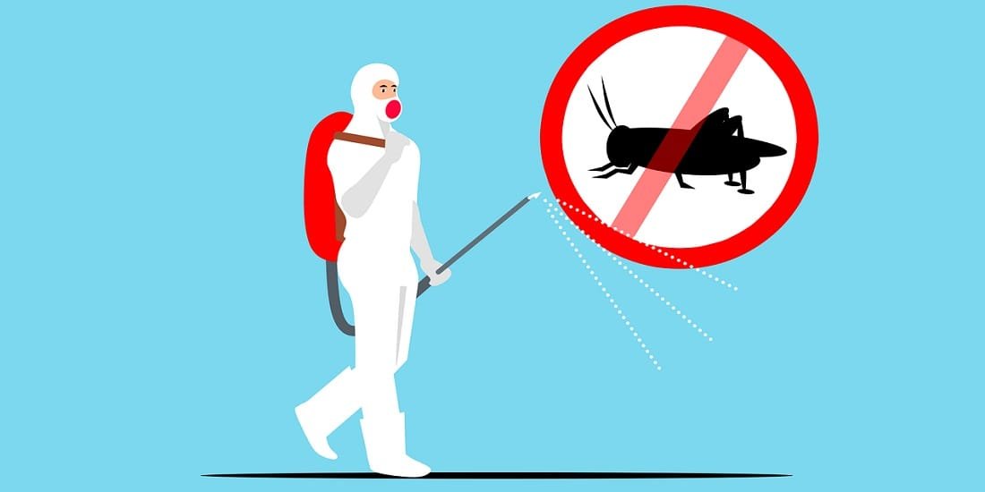 Get back link for Pest control companies: Is it a good idea